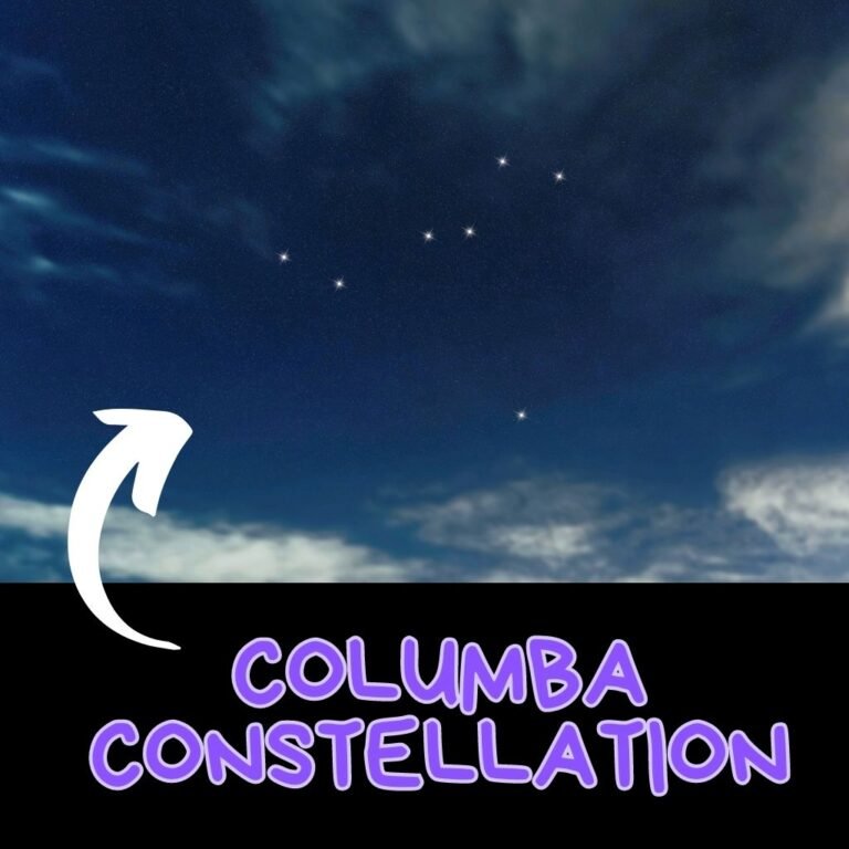 19 Little-Known Facts About the Columba Constellation